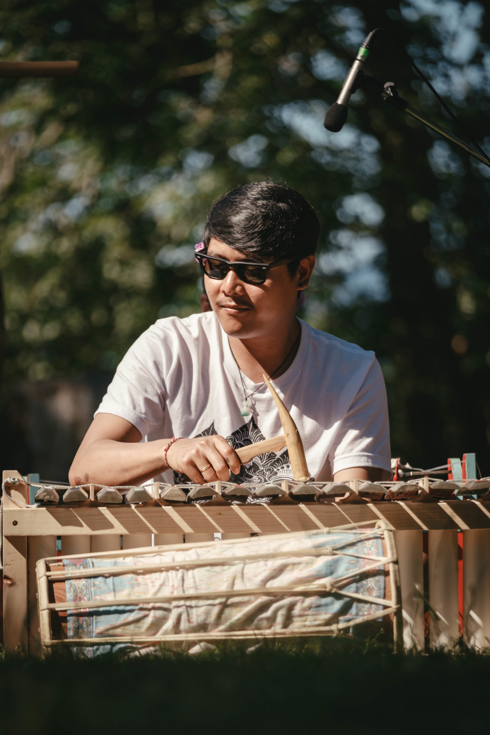 Ryan Swaryandana - Insitu Recordings